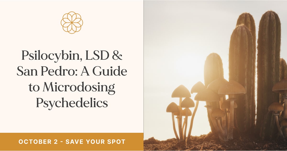 Psilocybin, LSD & San Pedro: A Guide to Microdosing Psychedelics - Psychedelic Coaching Institute